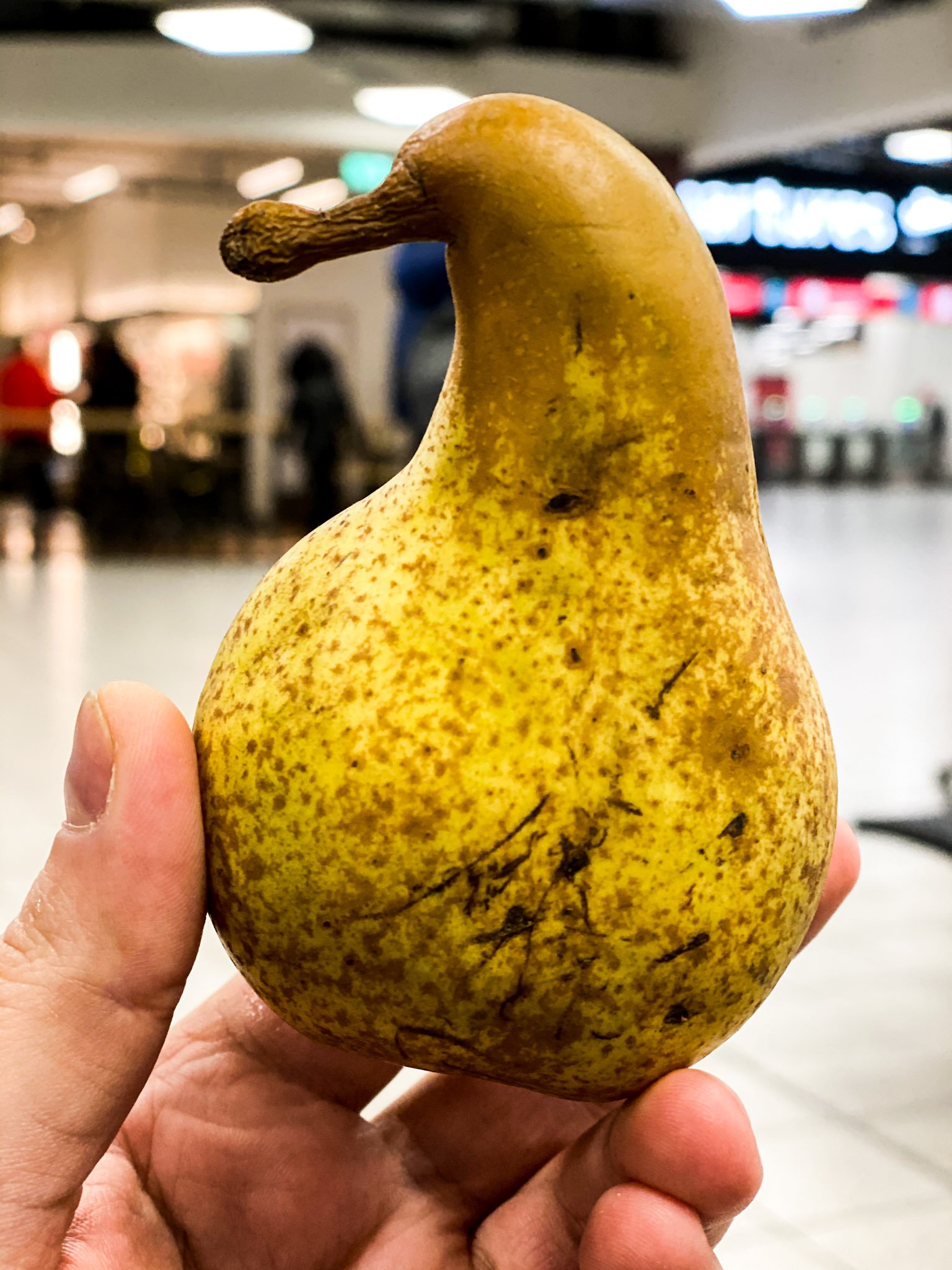 353-2020 - Odd Pear | Ozgo Productions